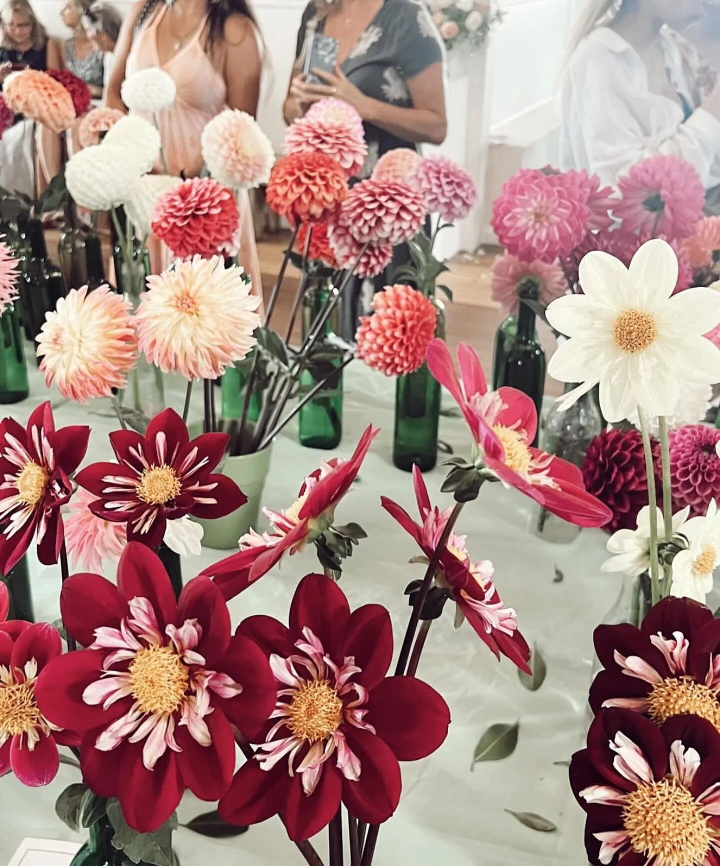 Classes — COORABELL HALL