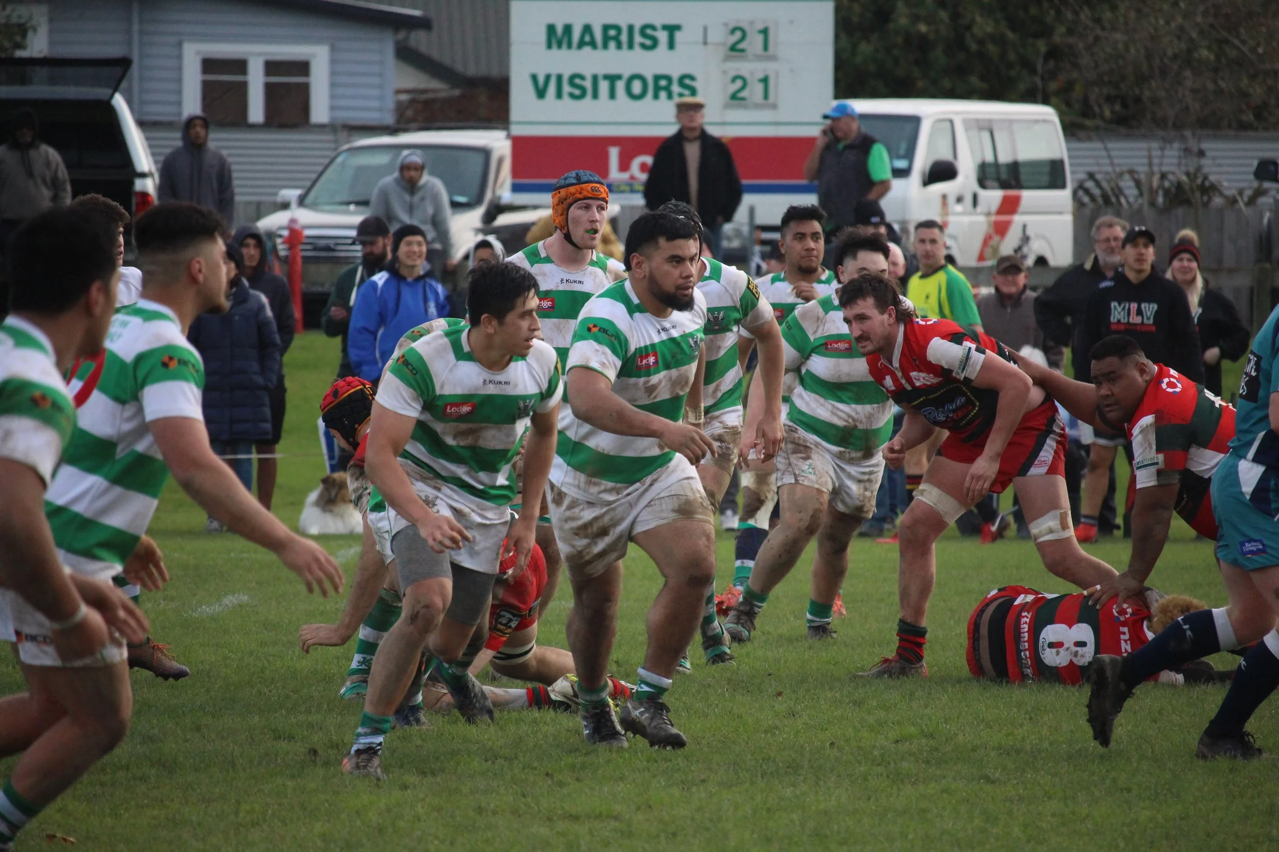 Hamilton Marist RFC