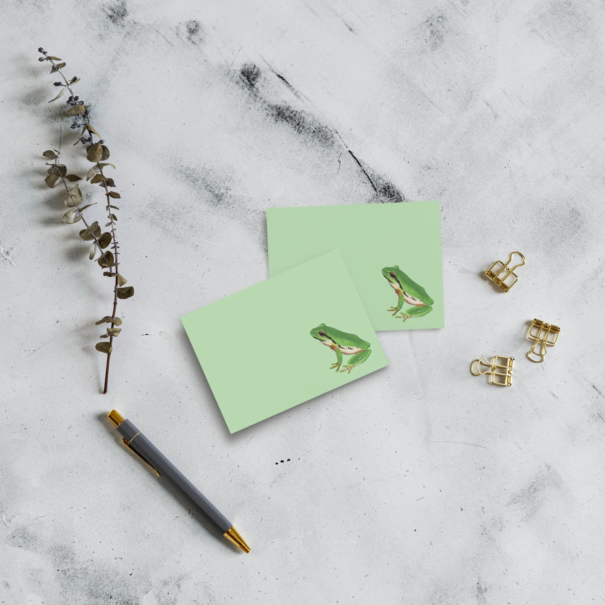 Pacific Tree Frog Note Pads — Kristen Burroughs Illustration