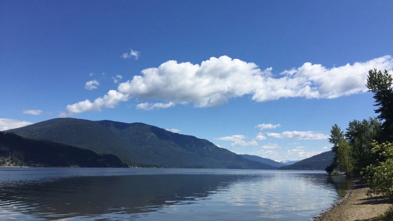 South Shuswap Scoop