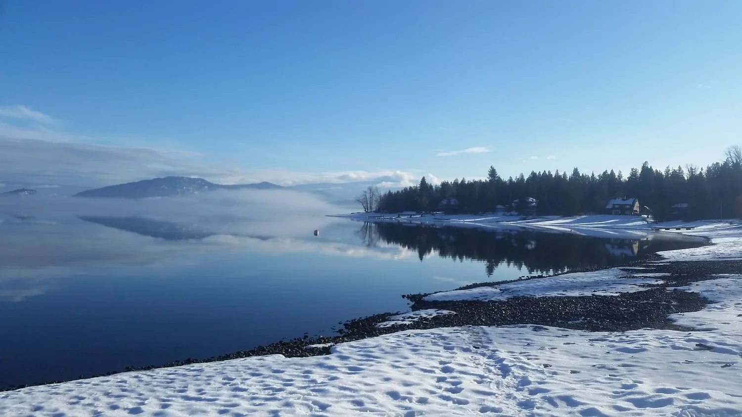 South Shuswap Scoop