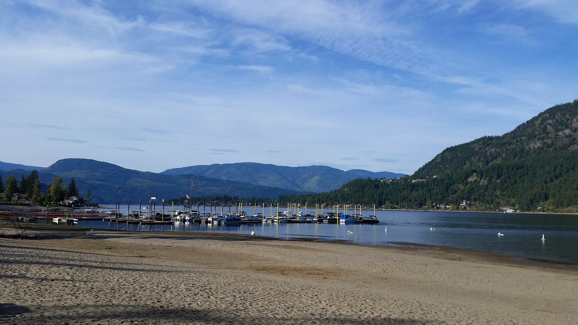 South Shuswap Scoop