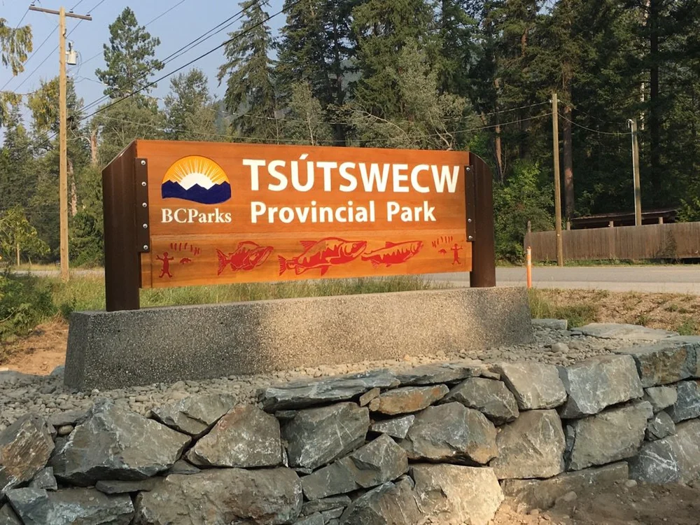 Adams river Sockeye Salmon photo credit Bruce Moffatt — South Shuswap Scoop
