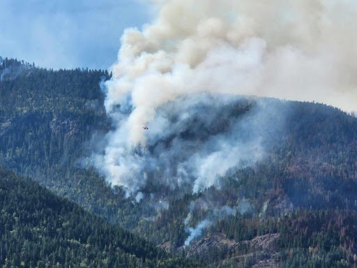 Shuswap EcDev Commits to Post Fire Recovery — South Shuswap Scoop