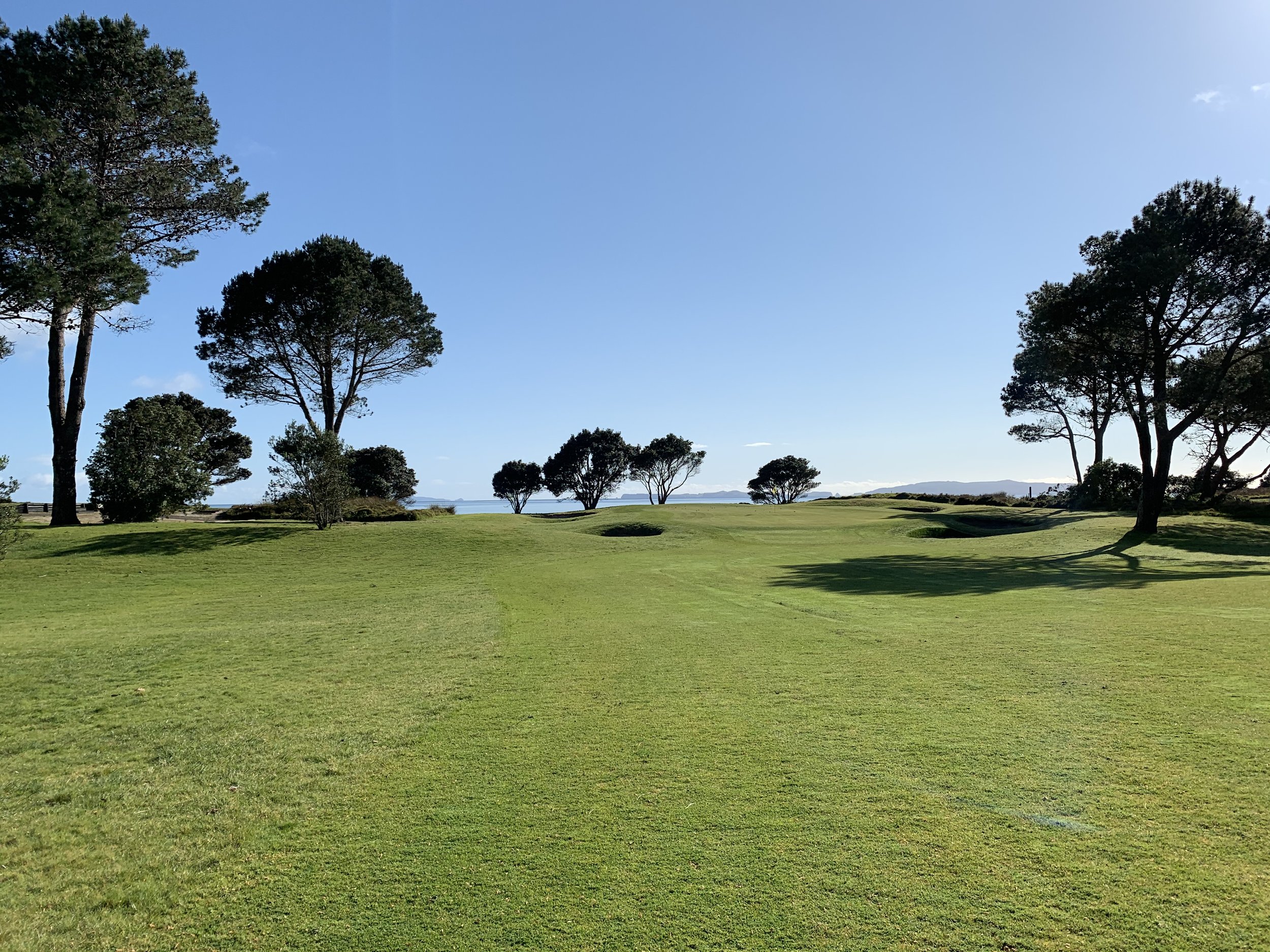 Ivan Adams Golf