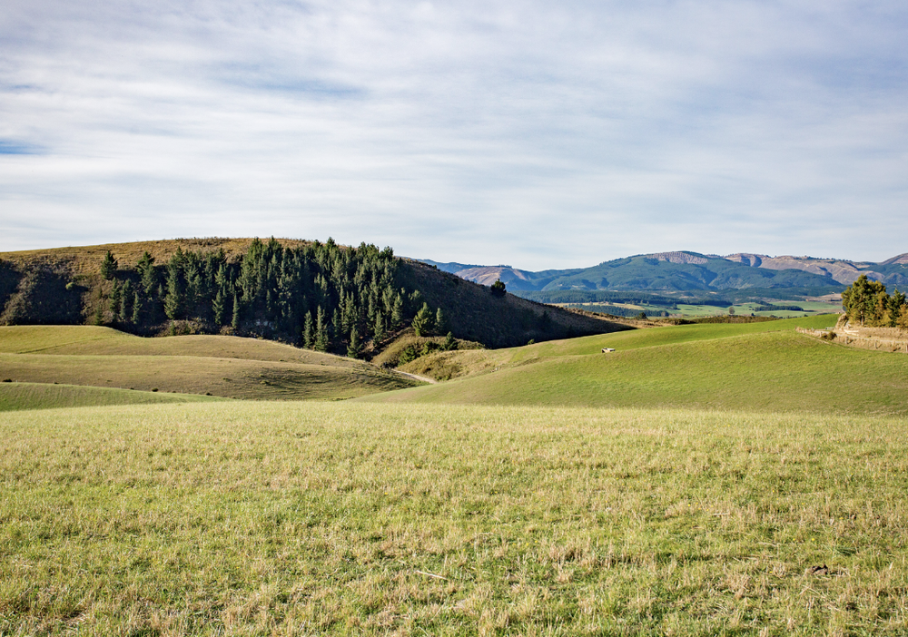 New Zealand Rural Land Co