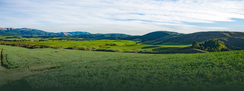 News — New Zealand Rural Land Co