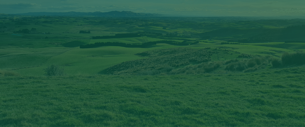 Overview — New Zealand Rural Land Co