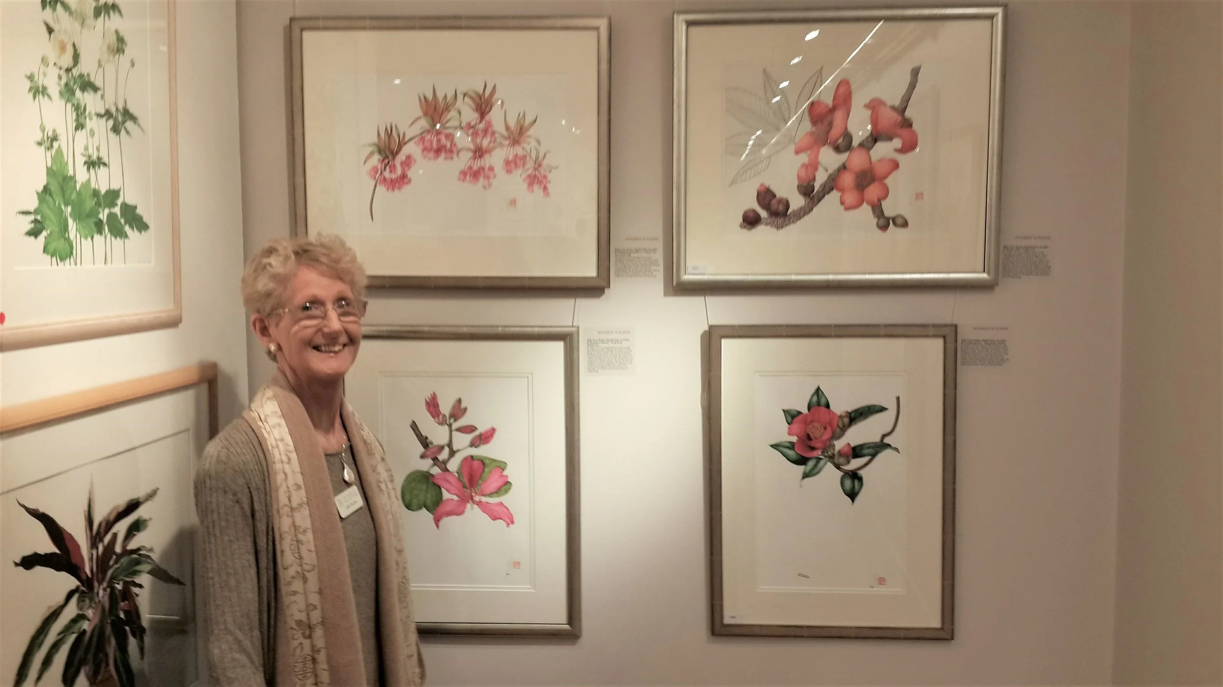 Exhibitions of the work of Sally Grace Bunker - botanical artist ...