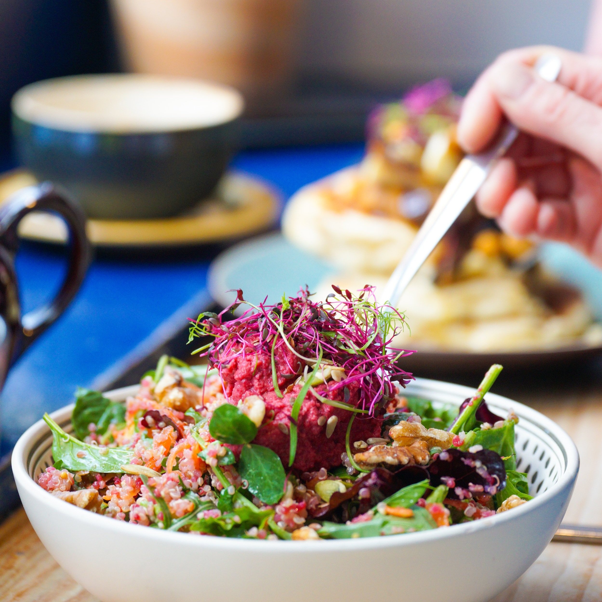 Café — Velocity Café & Bicycle Workshop