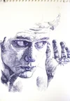 Biro Drawings — Sarah Muirhead Figurative Artist