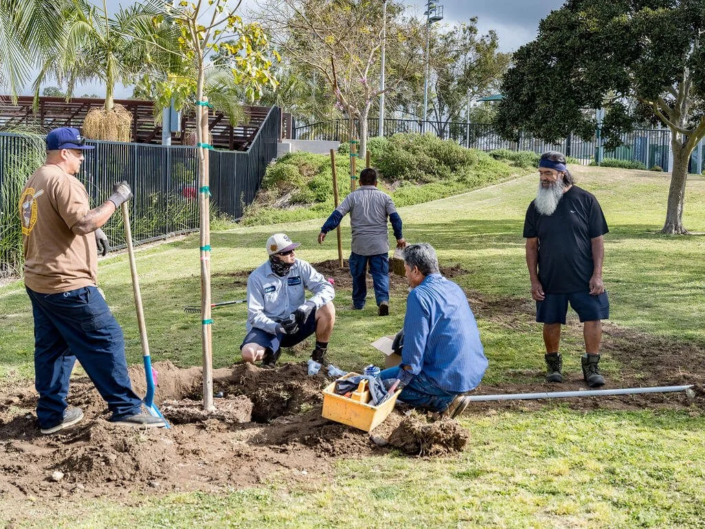 Reaches Tree Planting Milestone — SD Parks Foundation