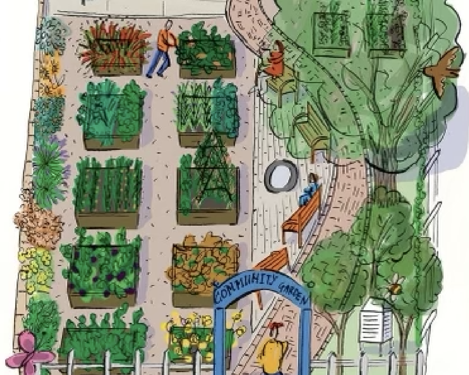 Urban Greening and Community Gardens — SD Parks Foundation