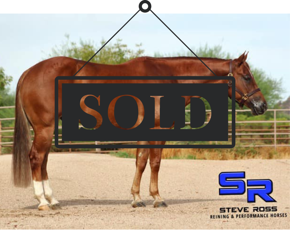 Sale Horses — Steve Ross Reining Horses