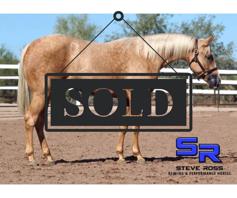 Sale Horses — Steve Ross Reining Horses