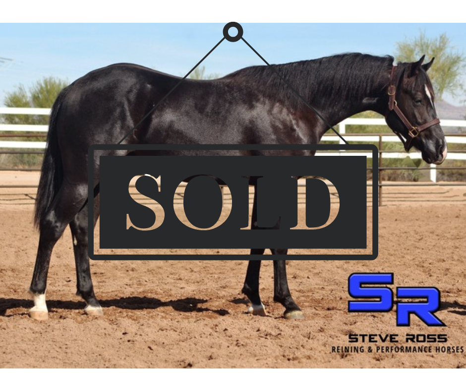 Sale Horses — Steve Ross Reining Horses