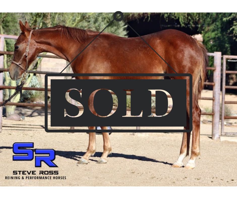 Sale Horses — Steve Ross Reining Horses
