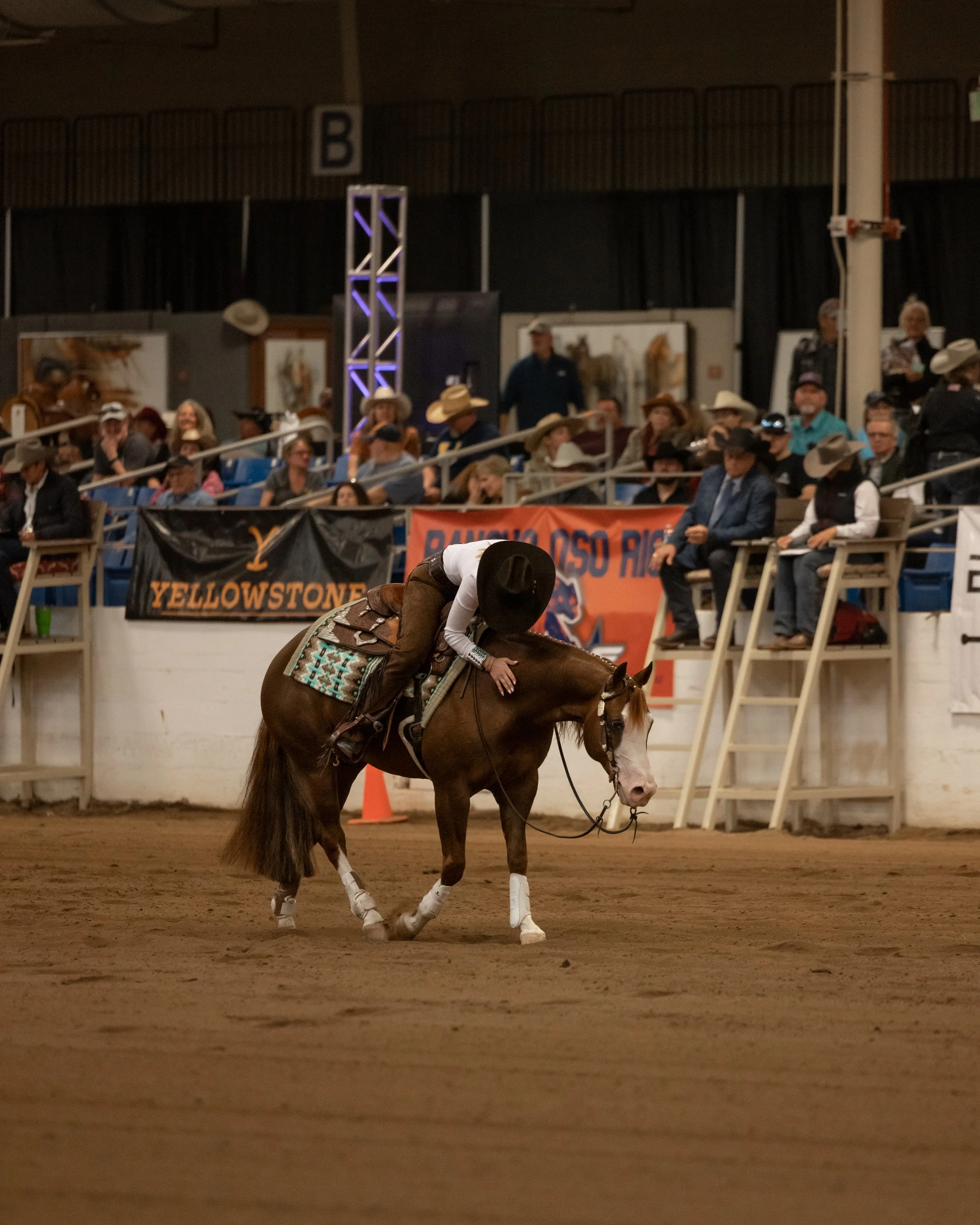 Cactus Reining Classic and The Run For A Million Qualifier — Steve Ross ...