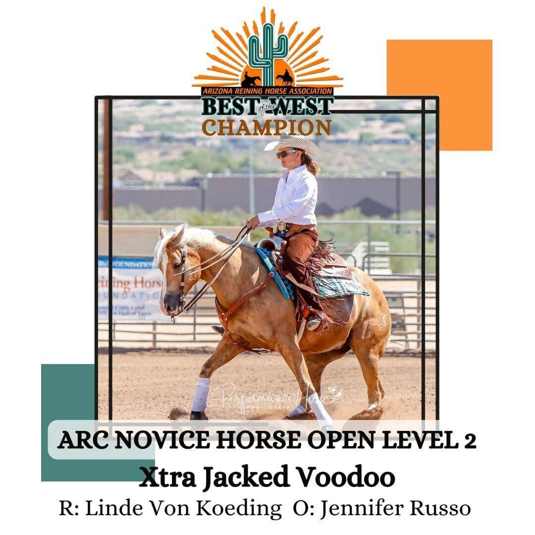 Steve Ross Reining Horses