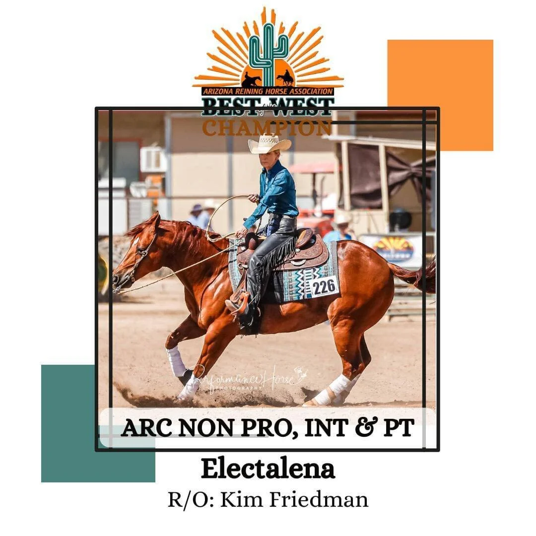 Steve Ross Reining Horses