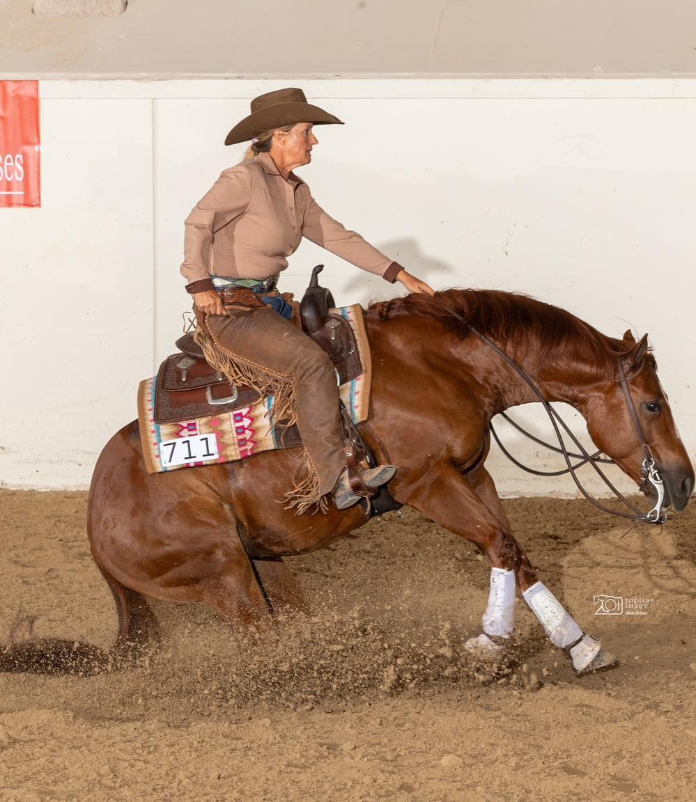 Sale Horses — Steve Ross Reining Horses