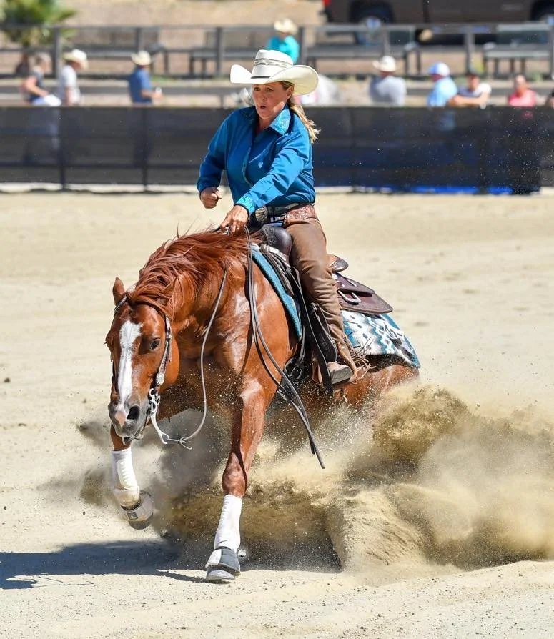 Sale Horses — Steve Ross Reining Horses