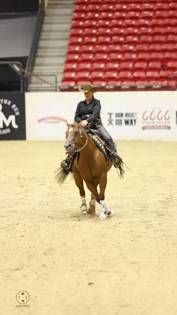 Sale Horses — Steve Ross Reining Horses