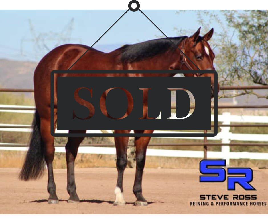 Sale Horses — Steve Ross Reining Horses