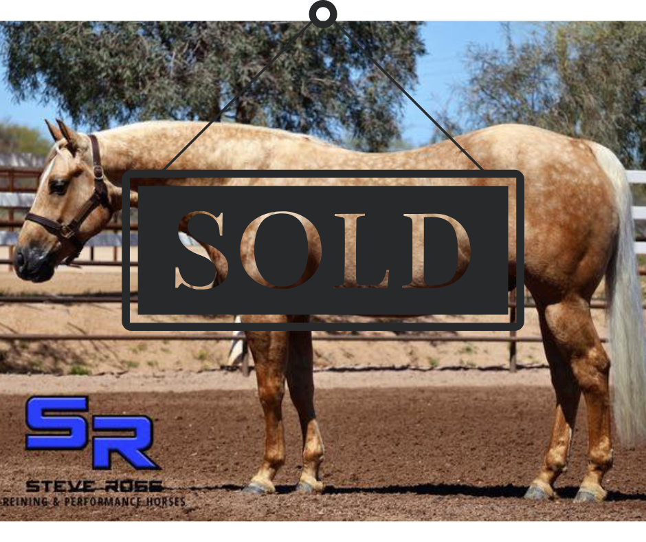 Sale Horses — Steve Ross Reining Horses