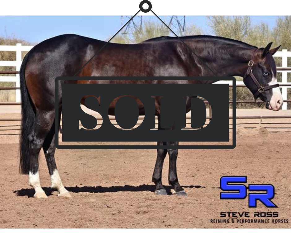 Sale Horses — Steve Ross Reining Horses