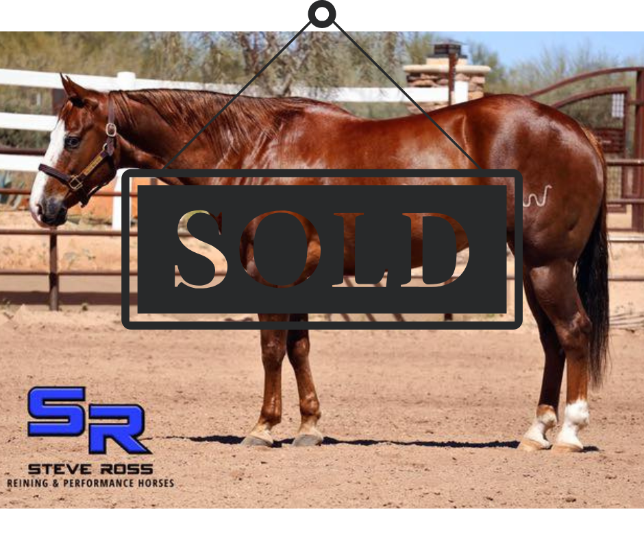 Sale Horses — Steve Ross Reining Horses