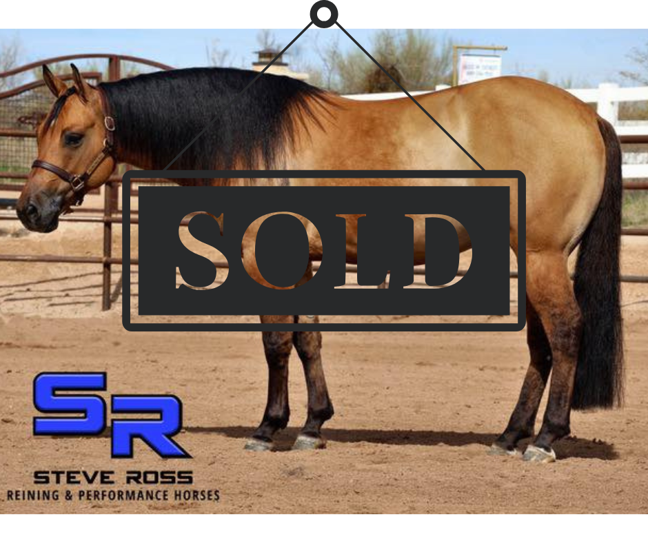 Sale Horses — Steve Ross Reining Horses