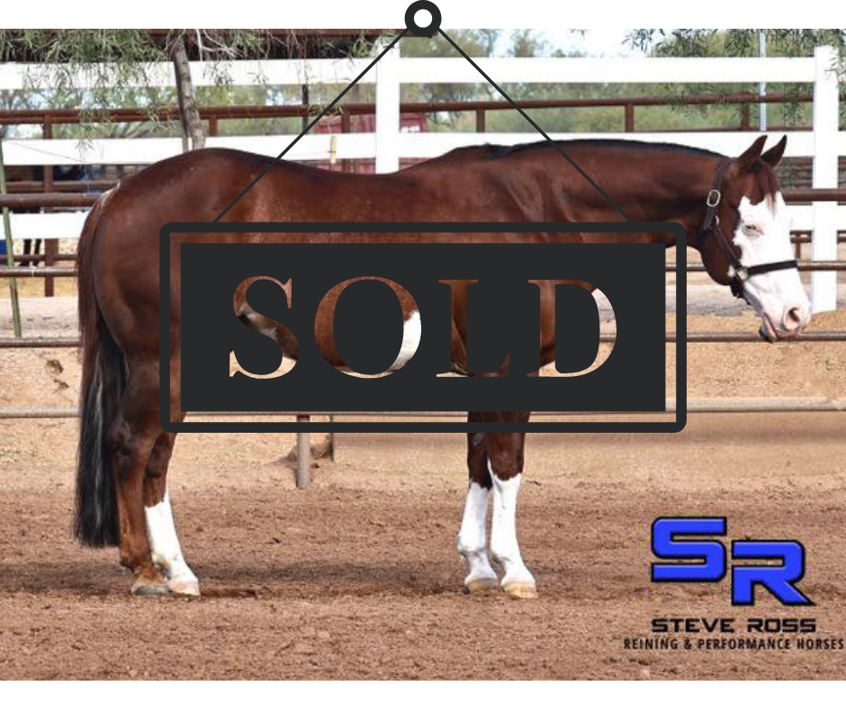 Sale Horses — Steve Ross Reining Horses