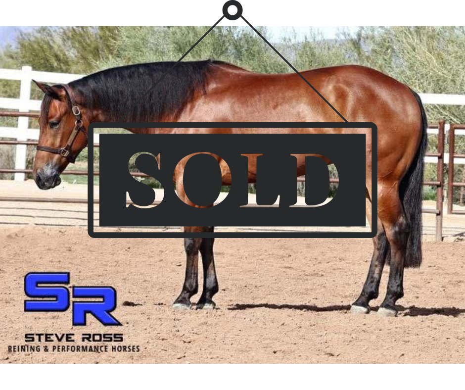 Sale Horses — Steve Ross Reining Horses