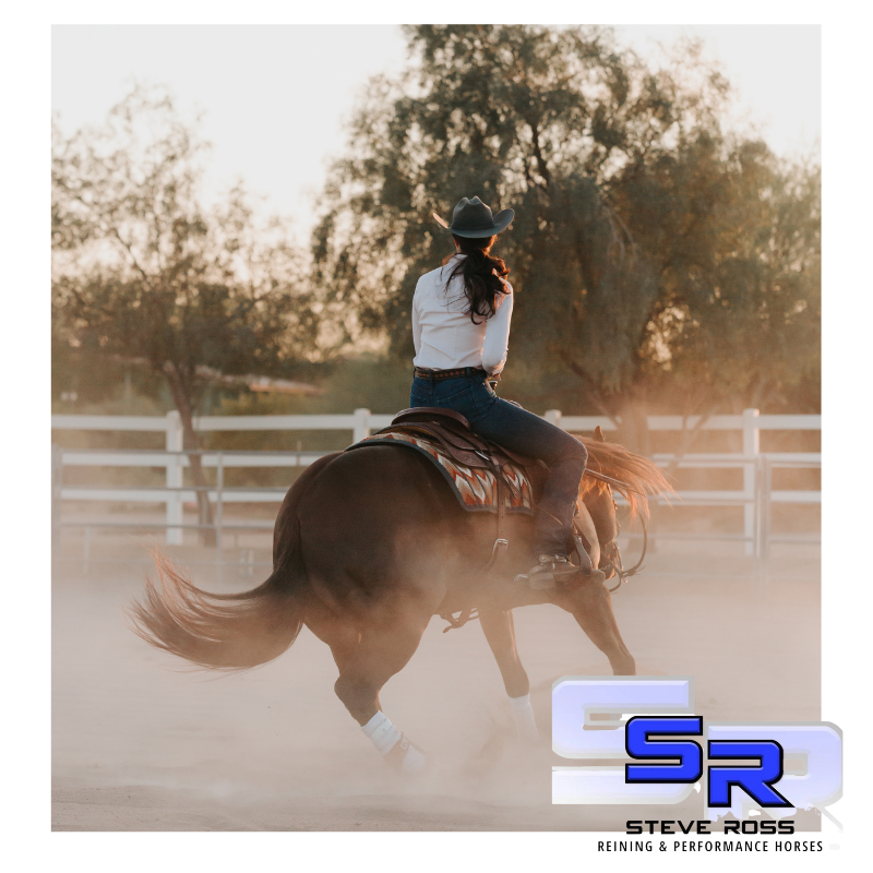 Steve Ross Reining Horses