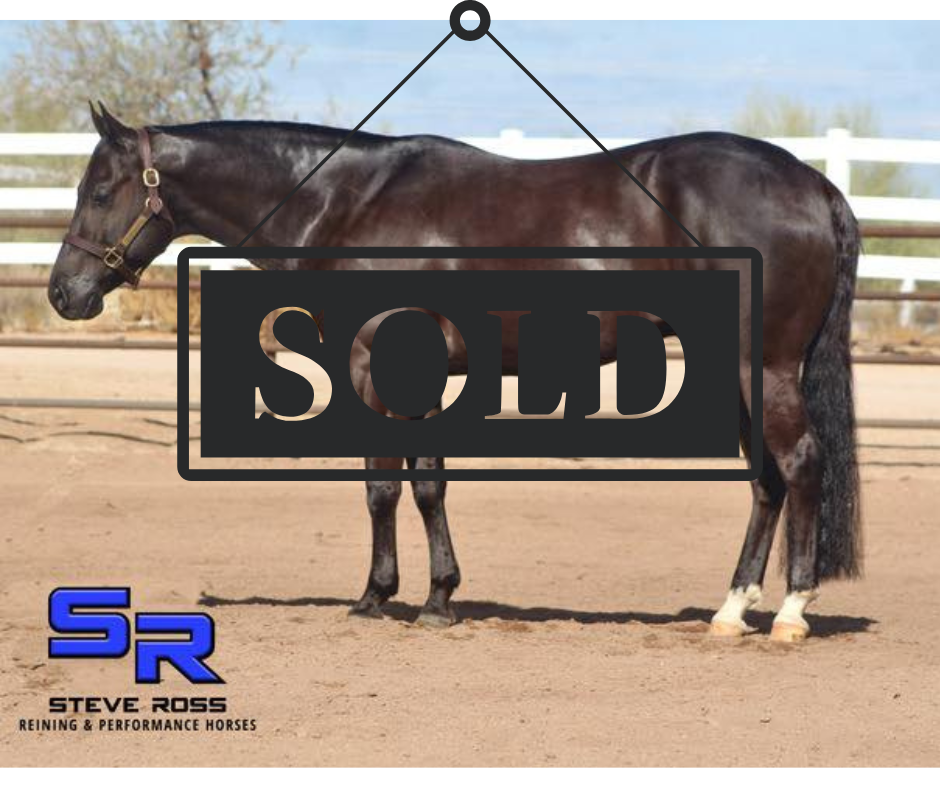 Sale Horses — Steve Ross Reining Horses