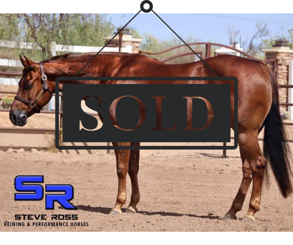 Sale Horses — Steve Ross Reining Horses