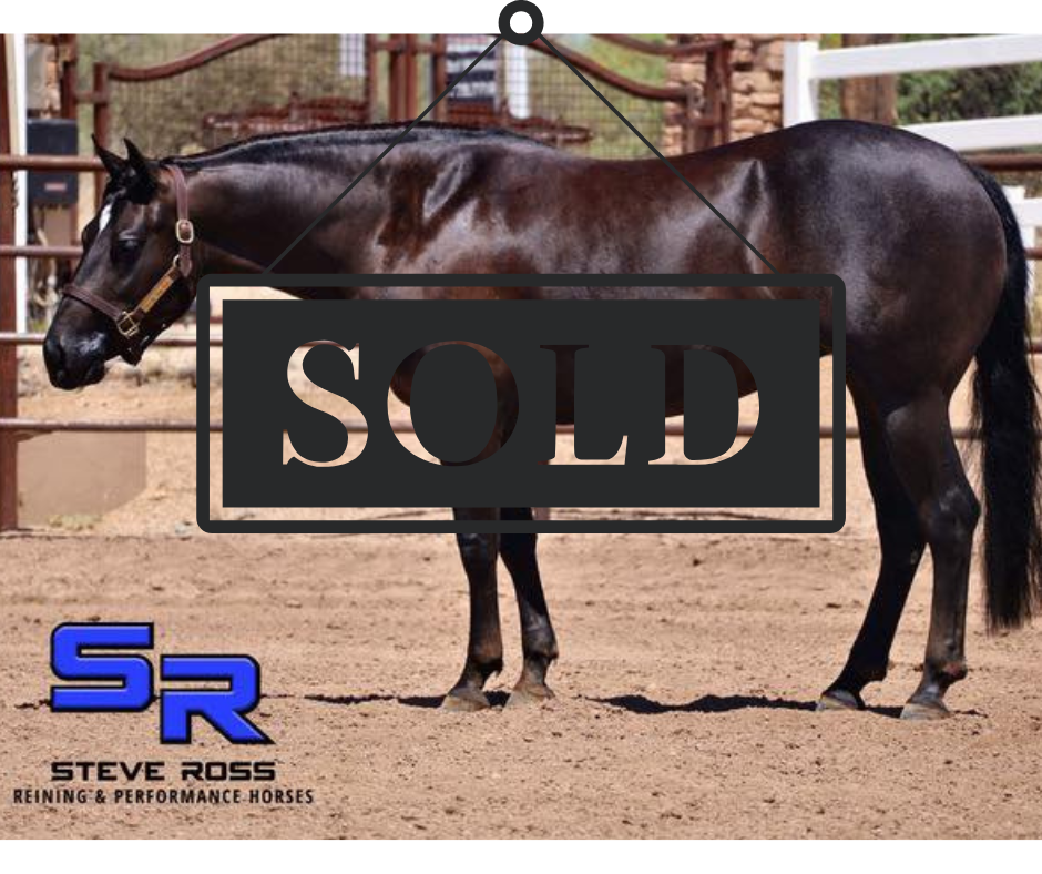 Sale Horses — Steve Ross Reining Horses