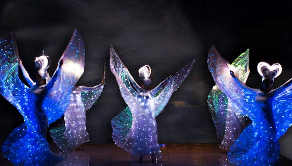 Hire Our LED Light Show for Weddings and Other Events — Deya Events