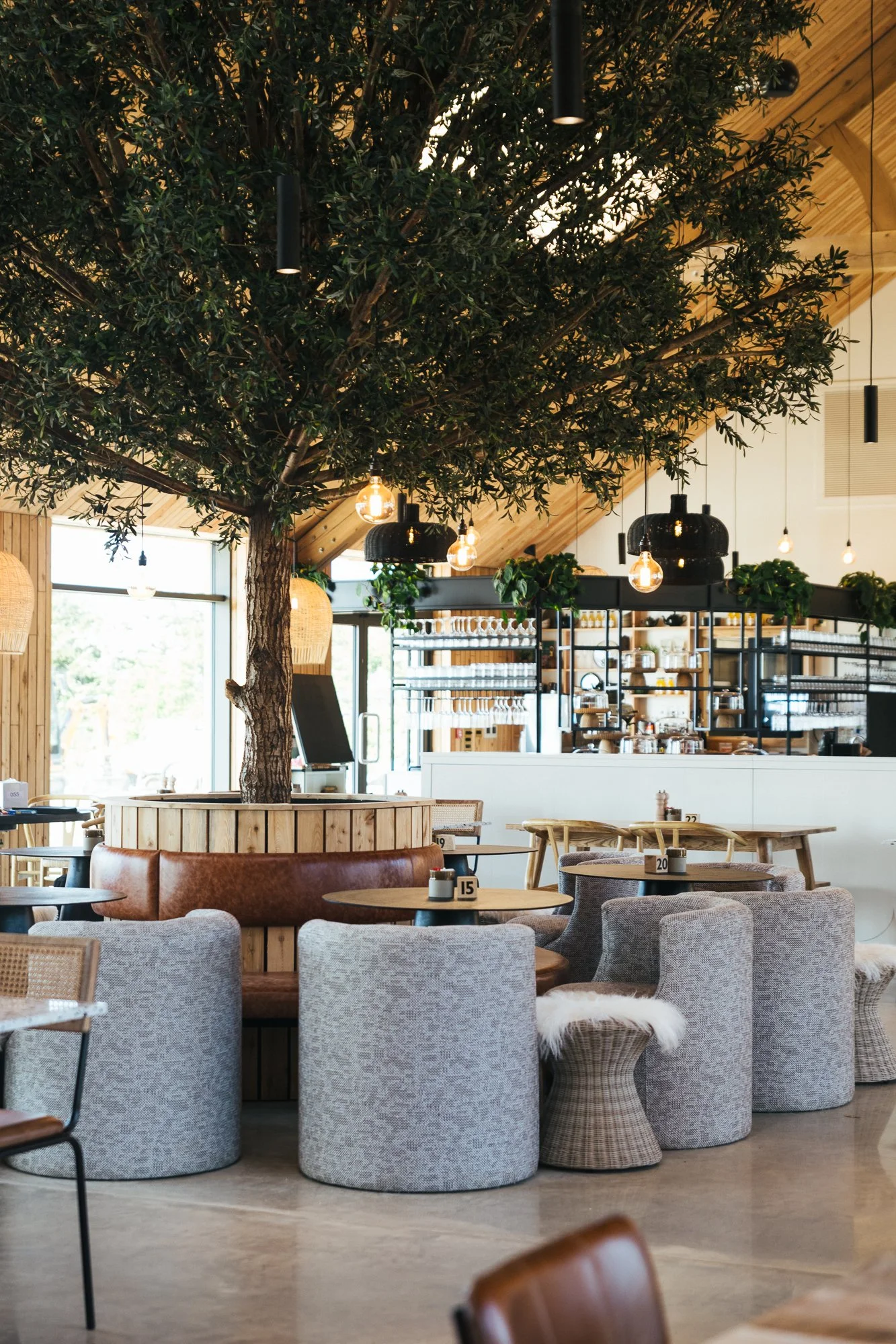 RUTLAND NURSERY, CAFE — Beak Studio