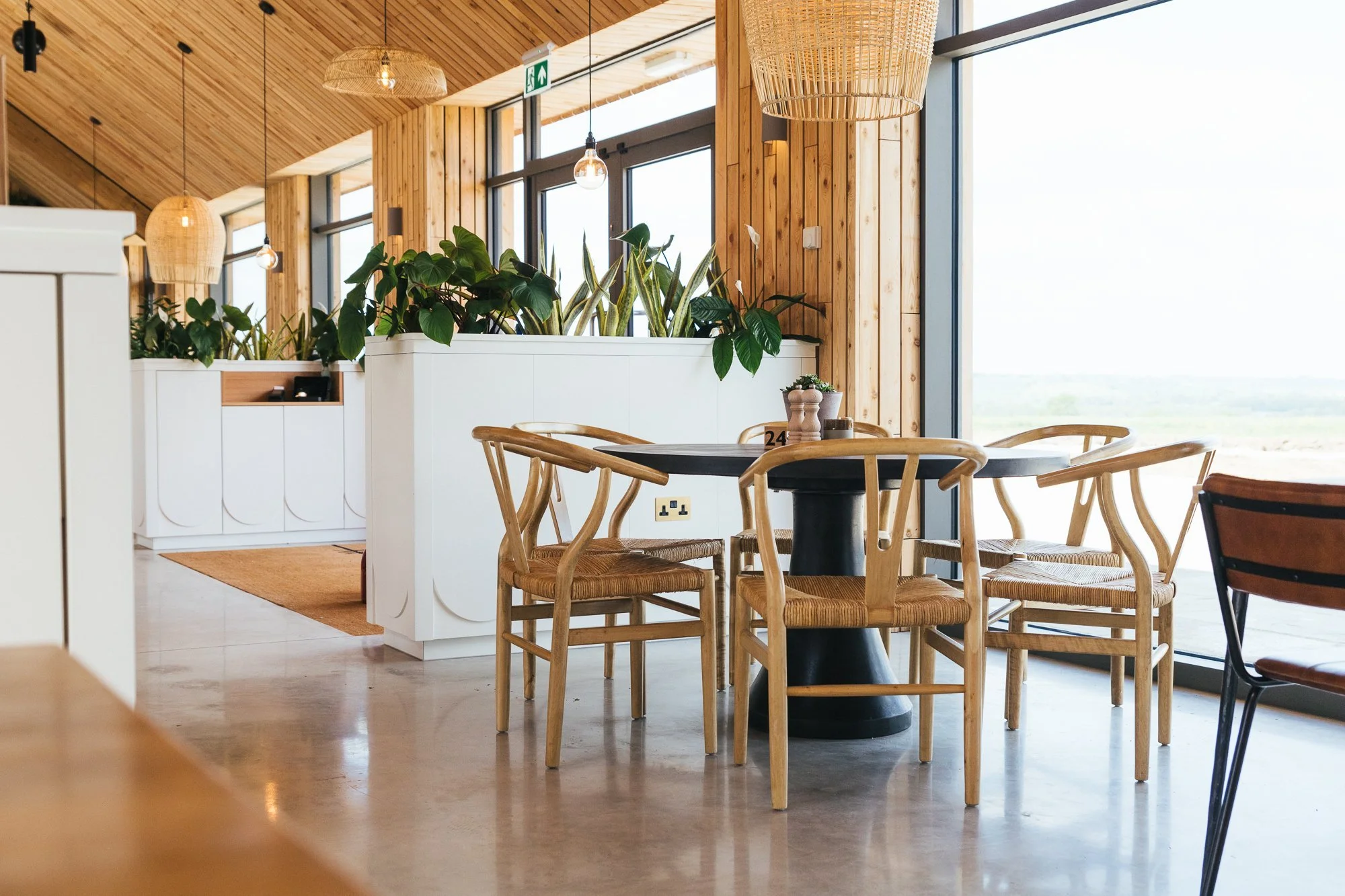 RUTLAND NURSERY, CAFE — Beak Studio