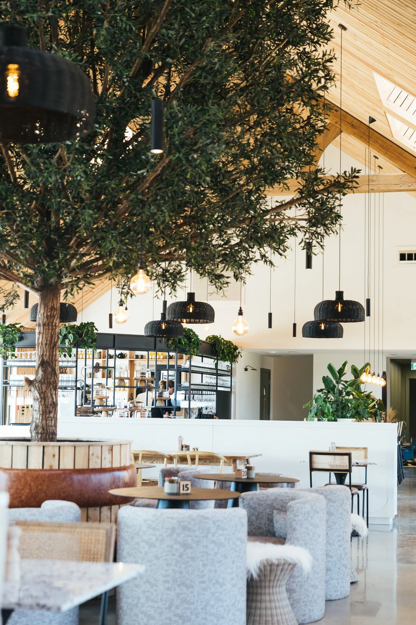 RUTLAND NURSERY, CAFE — Beak Studio