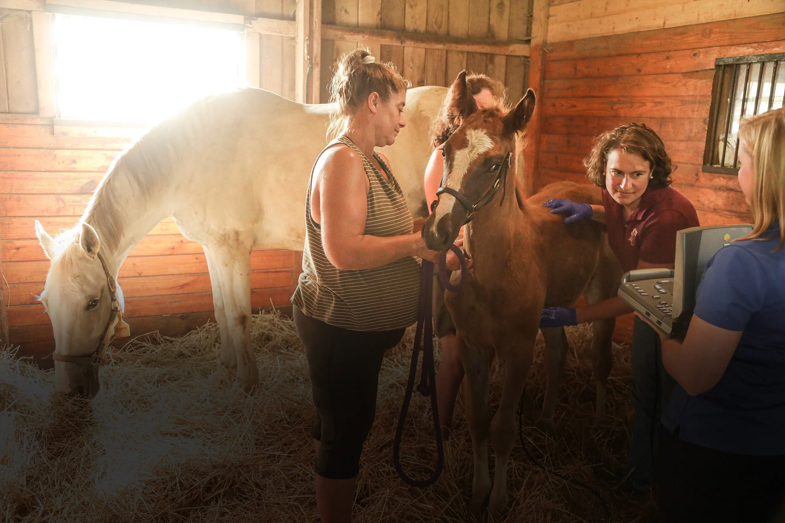 Students Rhinebeck Equine