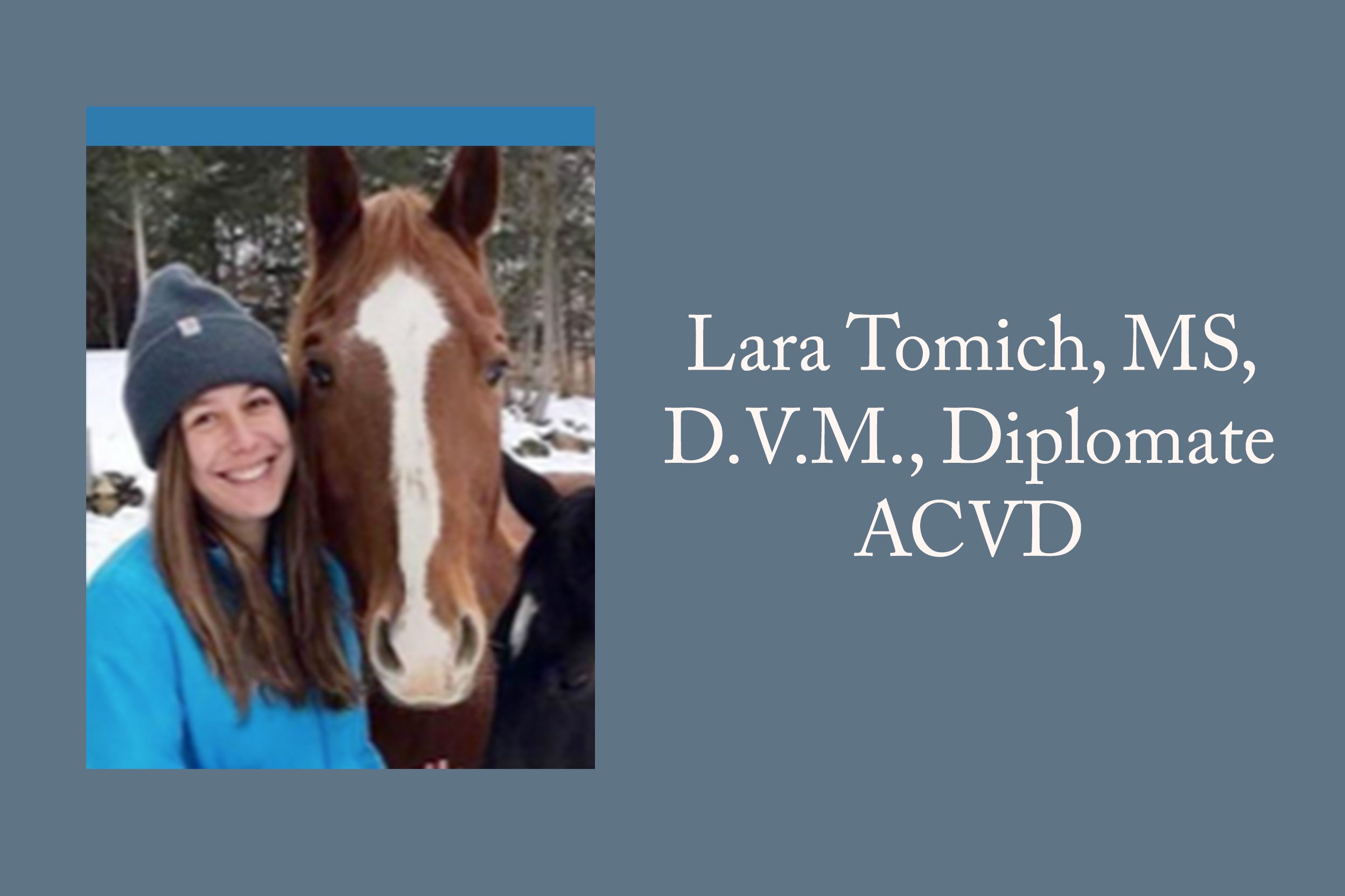 Lara Tomich, MS, DVM, Dipl. ACVD — Rhinebeck Equine