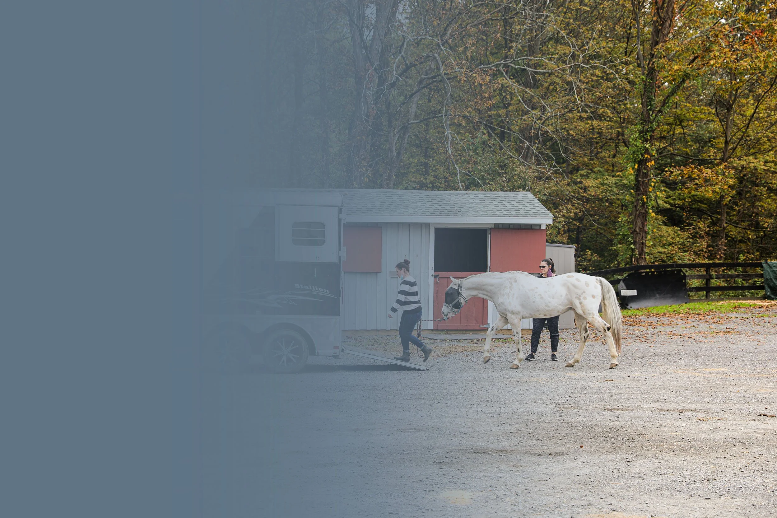 Internships Rhinebeck Equine
