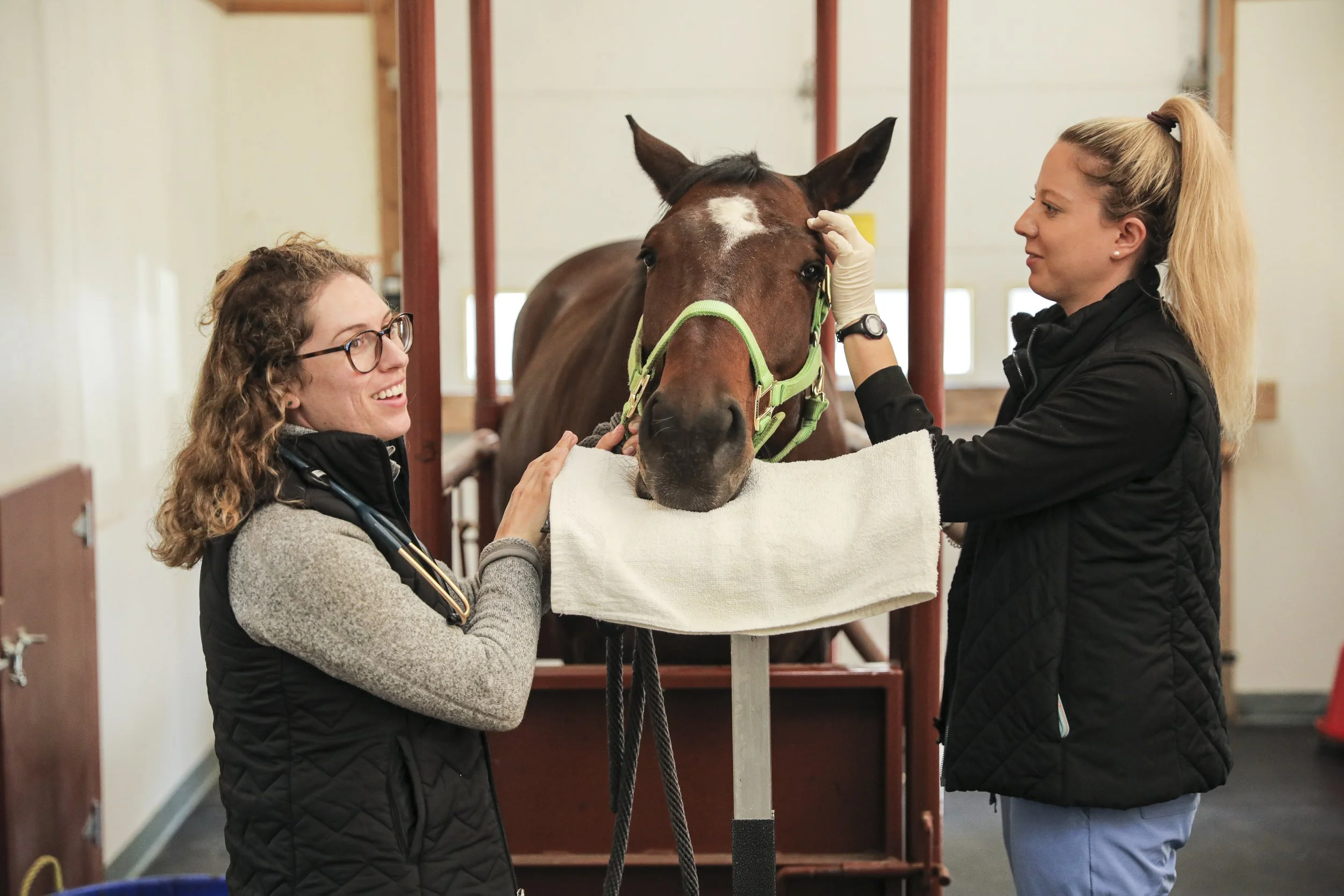 Rhinebeck Equine