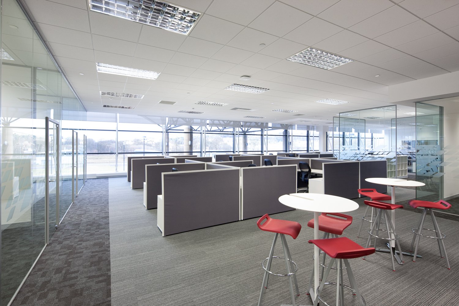 PLEXUS, BATHGATE — Amos Beech