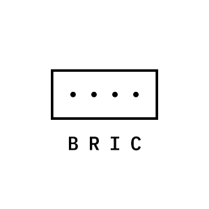 2026 Animation Co-op Grant Application — The BRIC Foundation
