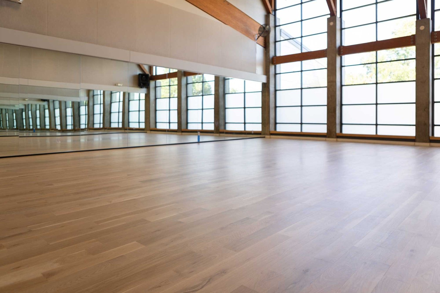 Feel The Beat | Colorado’s Adaptive Dance Studio for Kids & Adults
