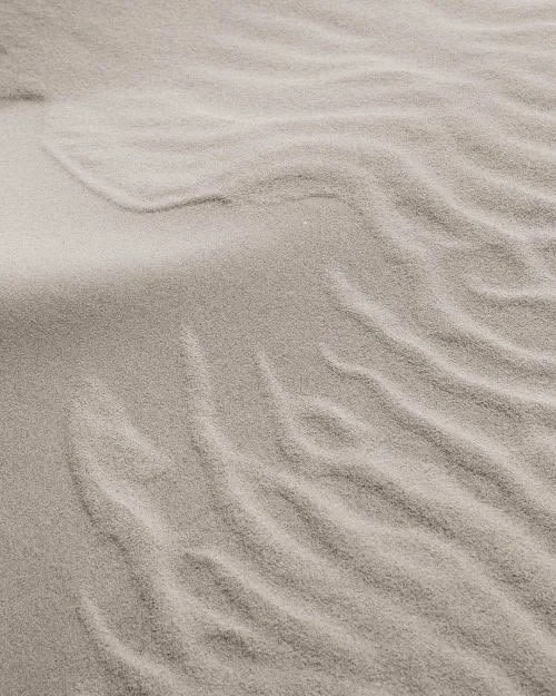 Discover Nervous System Attunement: A Free 5-Day Somatic Guide — Taren ...